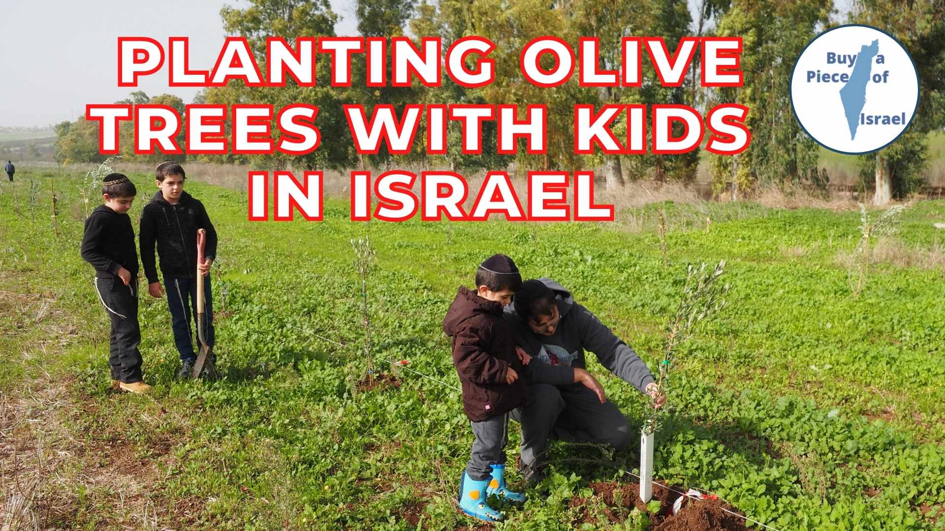 Buy Land in Israel - Buy a Piece of Israel