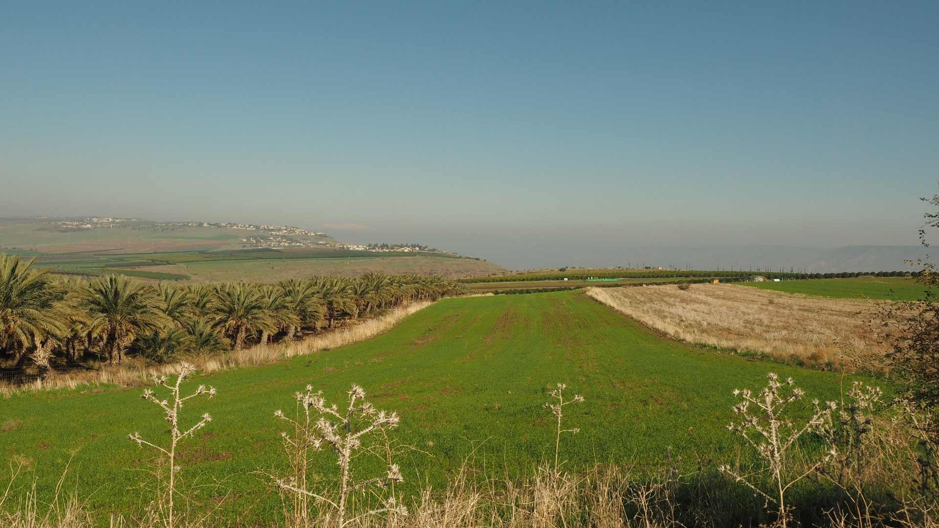 Land for Sale in Israel - Yavniel - Buy land - How much is land in Israel?