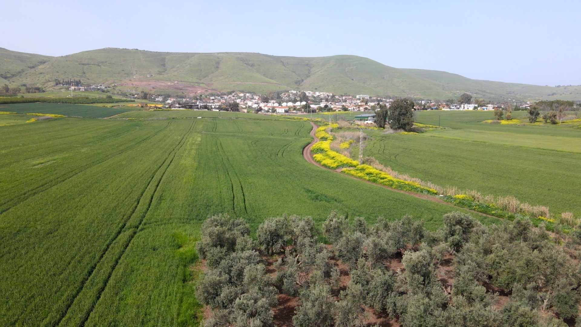 Land for Sale in Israel - Yavniel - Buy land - How much is land in Israel?